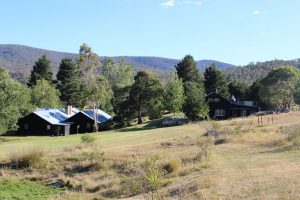 Crackenback Farm - Crackenback Farm